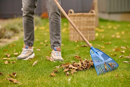 Lawn care for beginners store