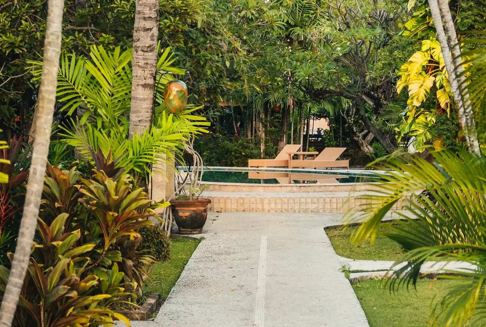 6 Tropical Landscape Design Ideas to Upgrade Your Lawn
